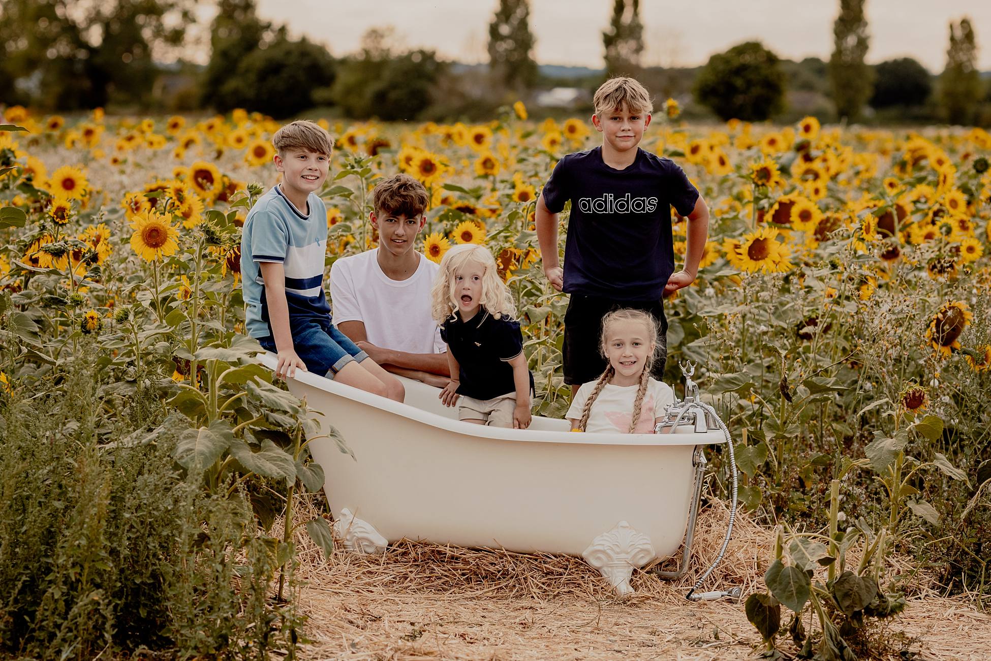 Hayling Island Sunflowers Photography | Ania Photo